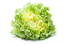 Chicorée endive | Spar Colruyt Group
